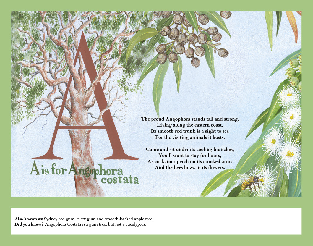 Aussie Native Plants A-Z – Boolarong Press