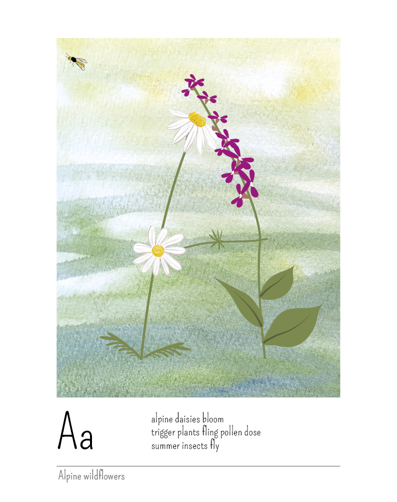 A Landscape of Letters-With Haiku – Boolarong Press