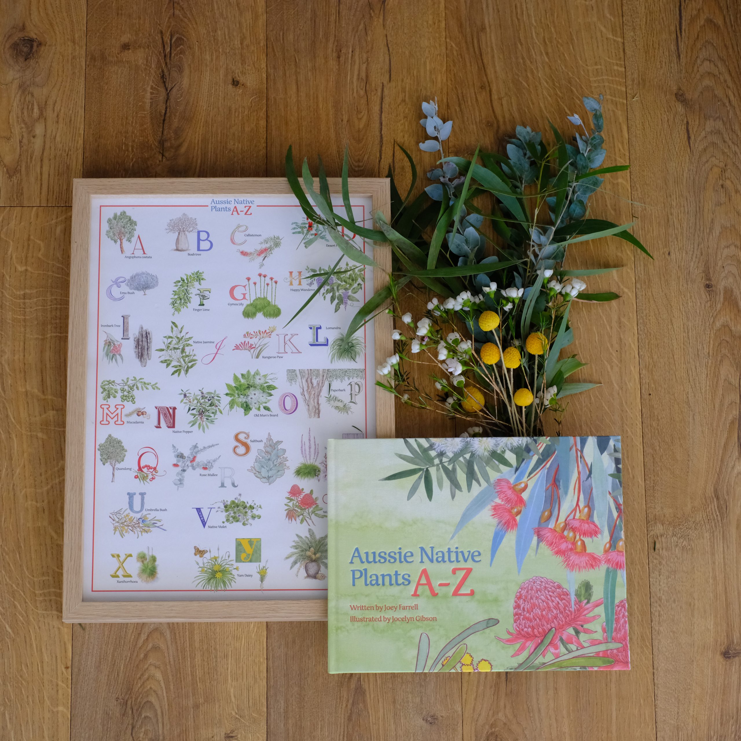 Aussie Native Plants A-Z & A3 Alphabet Plant Print Pack – Boolarong Press