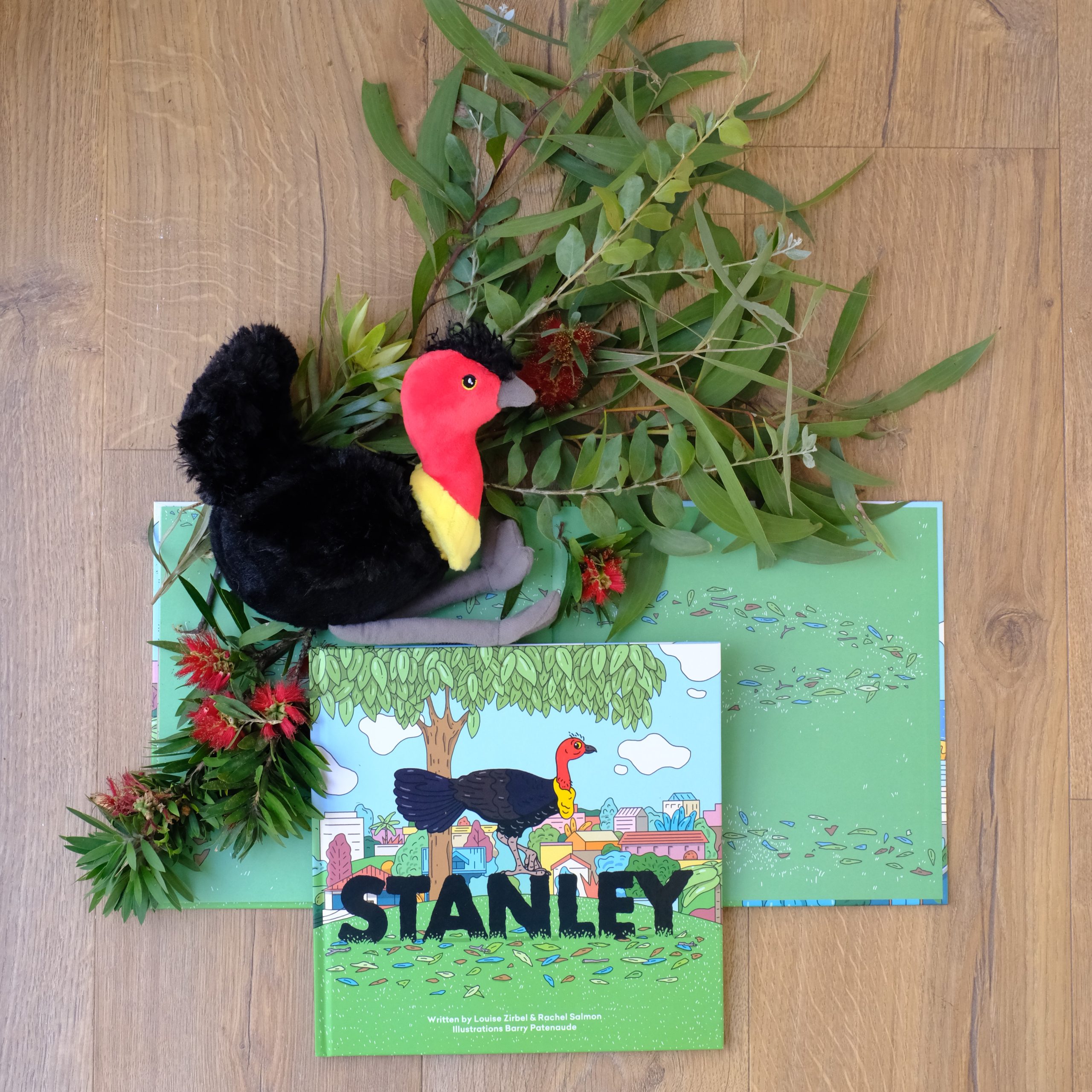 Stanley Book & Brush Turkey Plush Toy Pack – Boolarong Press